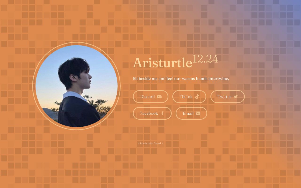 Aristurtle